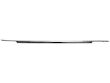 2018-2024 Volkswagen Tiguan Bumper Cover Molding - Action Crash ...