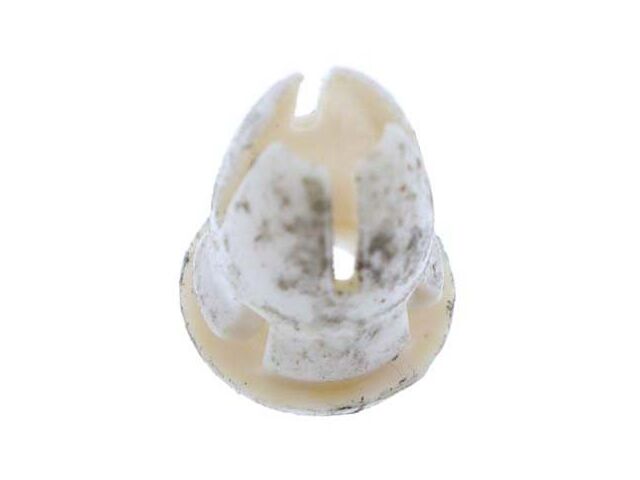 1996-2003 Mercedes E320 Exterior Molding Clip - OEM 007 988 71 78 ...