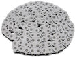 2010-2016 Audi S4 Timing Chain - Febi 06E 109 465 BH - Center Upper ...