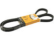 2019-2022 Mercedes Sprinter 2500 Accessory Drive Belt - ContiTech 000 ...