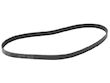 2006-2010, 2012-2014 Volkswagen Beetle Accessory Drive Belt ...