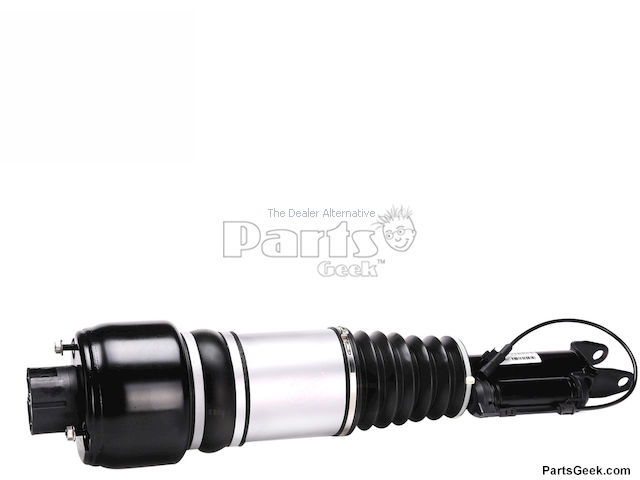 06 2006 Mercedes E350 Strut Assembly - Suspension - API, Arnott ...
