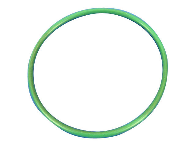 2008-2021 Dodge Challenger Fuel Pump O-Ring - Mopar 55366298AA ...