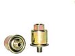 Ford F100 Fuel Filter - Fuel Filters - WIX AC Delco Fram Baldwin ...
