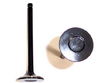 1996-1998 Suzuki Sidekick Exhaust Valve - DNJ Rock EV520 - PartsGeek.com