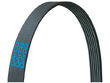 1995-2004 Freightliner FL60 Multi Rib Belt - Dayco 5080705 - Main Drive ...