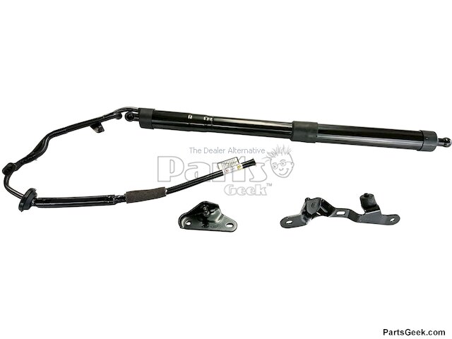 15 2015 Toyota RAV4 Hatch Strut - Body Mechanical & Trim - AISIN, API ...