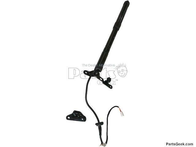 15 2015 Toyota RAV4 Hatch Strut - Body Mechanical & Trim - AISIN, API ...