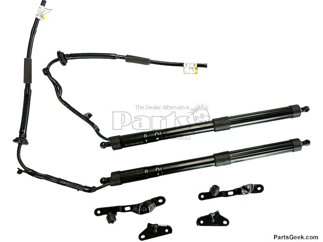 15 2015 Toyota RAV4 Hatch Strut - Body Mechanical & Trim - AISIN, API ...