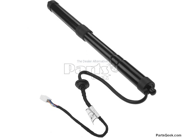 15 2015 Toyota RAV4 Hatch Strut - Body Mechanical & Trim - AISIN, API ...