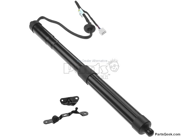 15 2015 Toyota RAV4 Hatch Strut - Body Mechanical & Trim - AISIN, API ...