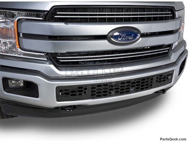 19 2019 Ford F150 Grille Insert - Body Mechanical & Trim - Putco ...