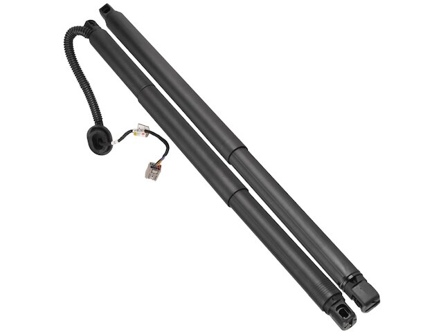 Tailgate Strut - Tailgate Lift Support Replacement | Parts Geek