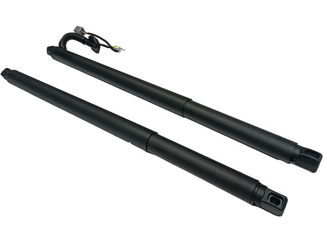 Tailgate Strut - Tailgate Lift Support Replacement | Parts Geek