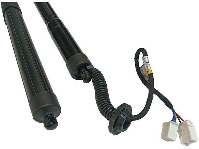 Tailgate Strut - Tailgate Lift Support Replacement | Parts Geek