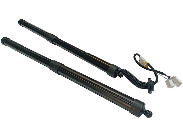 Tailgate Strut - Tailgate Lift Support Replacement | Parts Geek