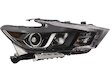 17 2017 Nissan Maxima Headlight Assembly - Body Electrical - Action ...