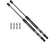 2003-2011 Honda Element Hatch Strut - Autopart Premium APGS0178 - Rear ...