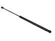 2001-2005 Mercedes C320 Hood Strut - APA/URO Parts 2038800029 - Right ...