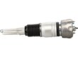 2010-2013 Porsche Panamera Shock Absorber - TrueDrive TP28050005 ...