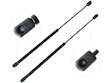 Trunk Lift Support - Trunk Struts Replacement | Parts Geek