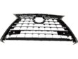 2018-2019 Lexus NX300h Grille Assembly - Replacement AP RL07010031Q ...