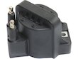 1993-2002 Pontiac Firebird Ignition Coil - DriveWire REPB504602 ...