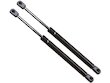 Hood Struts/Shocks Replacement - Car Hood Lift Support | Parts Geek