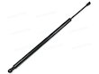 2000-2006 BMW X5 Hatch Strut - APA/URO Parts 51248402405 - PartsGeek.com