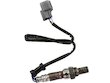 1999 Acura TL Oxygen Sensor - DriveWire REPH960905 - PartsGeek.com