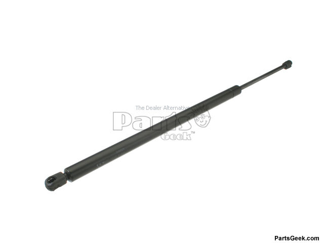 Tailgate Strut - Tailgate Lift Support Replacement | Parts Geek