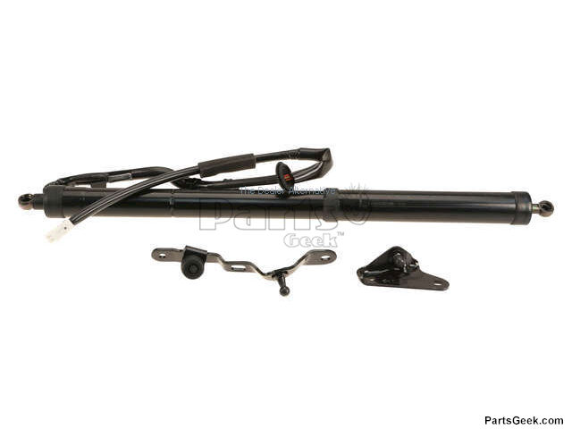 16 2016 Toyota RAV4 Hatch Strut - Body Mechanical & Trim - AISIN, API ...