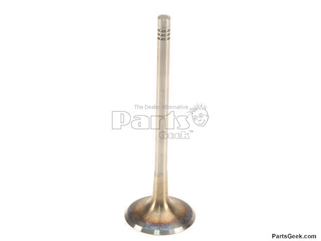 24 2024 Volkswagen Golf R Intake Valve - Engine Mechanical - TRW ...