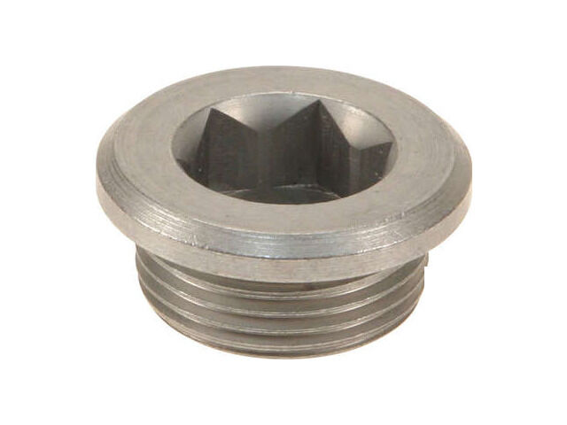 2000-2012, 2020-2023 BMW X5 Differential Drain Plug - Original W0133 ...
