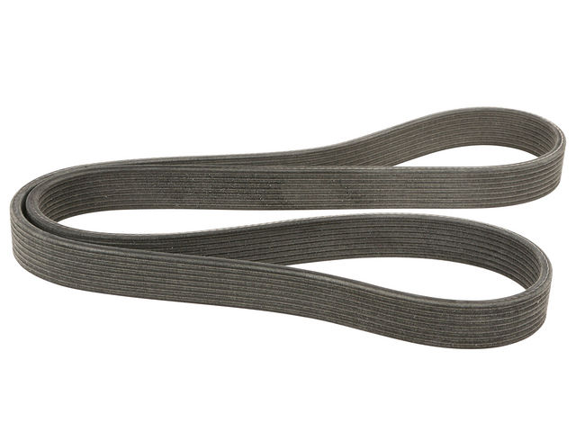 2014-2017 Jaguar XJR Multi Rib Belt - Dayco W0133-2065097 ...