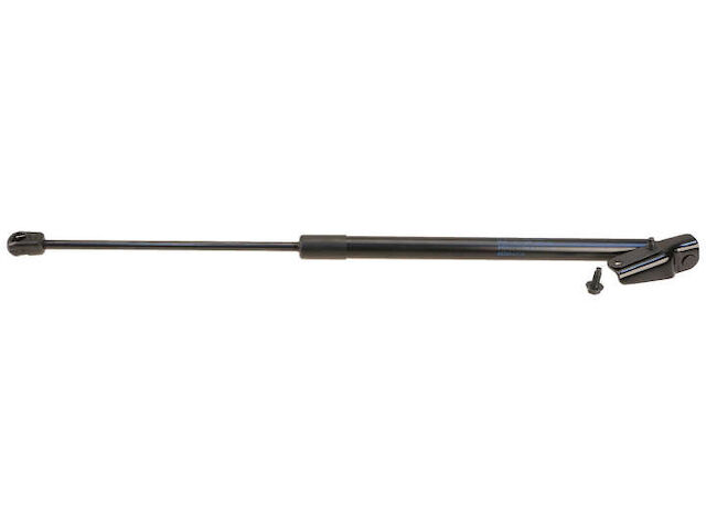 Rear Hatch Strut - Hatch Strut Replacement | Parts Geek