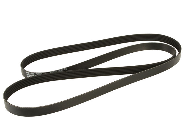 1994-1997 Chevrolet S10 Multi Rib Belt - Dayco W0133-1624048 ...