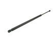 Tailgate Strut - Tailgate Lift Support Replacement | Parts Geek