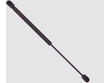 Tailgate Strut - Tailgate Lift Support Replacement | Parts Geek